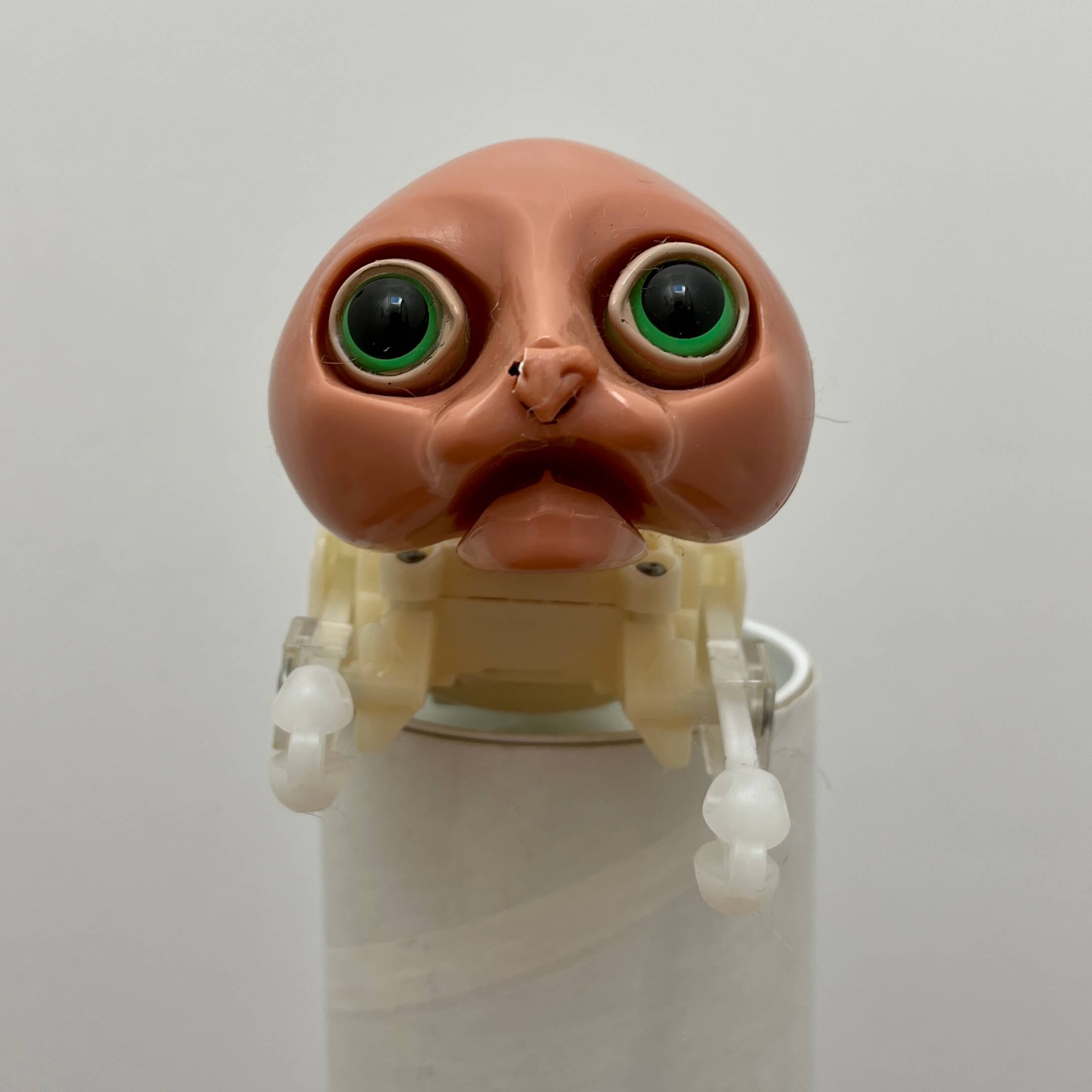 In Vestimentis Ursum - the robots hiding inside stuffed animals